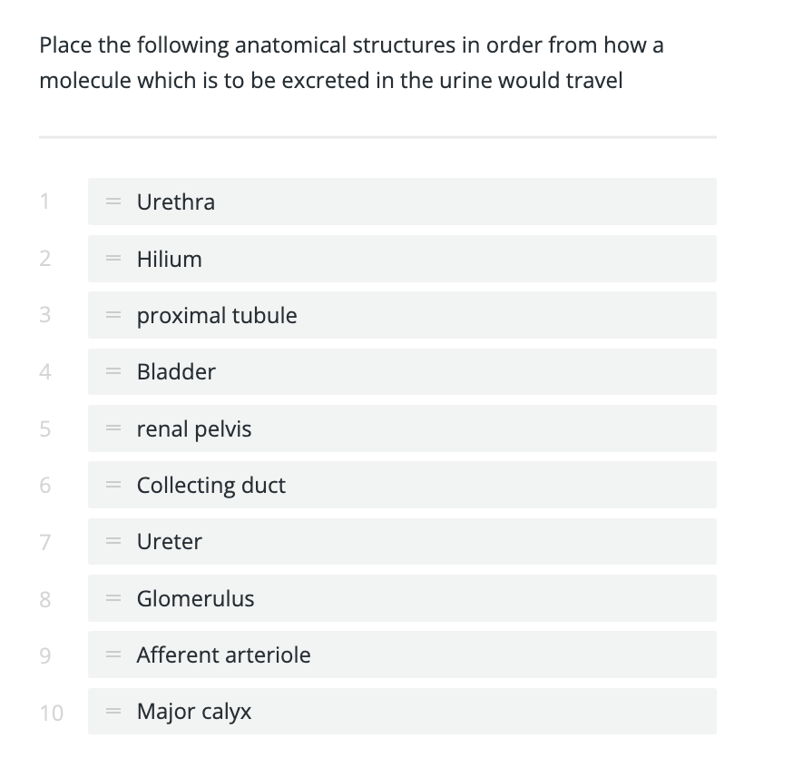Solved Place the following anatomical structures in order | Chegg.com