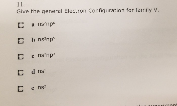 Solved Give the general Electron Configuration for family V. | Chegg.com