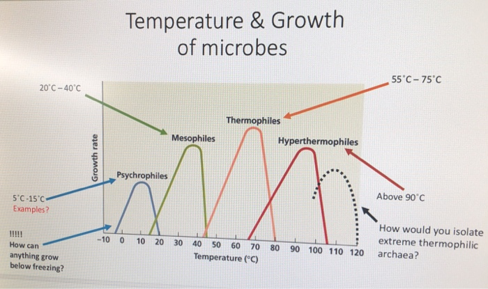 Solved Temperature & Growth of microbes 55 C-75 20 C-40C | Chegg.com