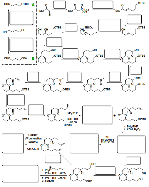 Solved OHC OTBS A OTBS ETO so i gen BI OTBS TBSO OTBS OH OH | Chegg.com