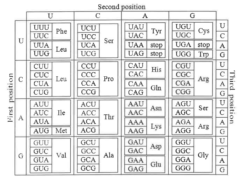 Solved (a) Based on the genetic code table, explain why a | Chegg.com