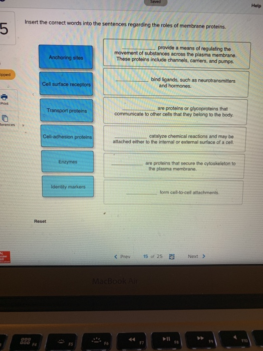 Solved Saved Help Insert the correct words into the | Chegg.com