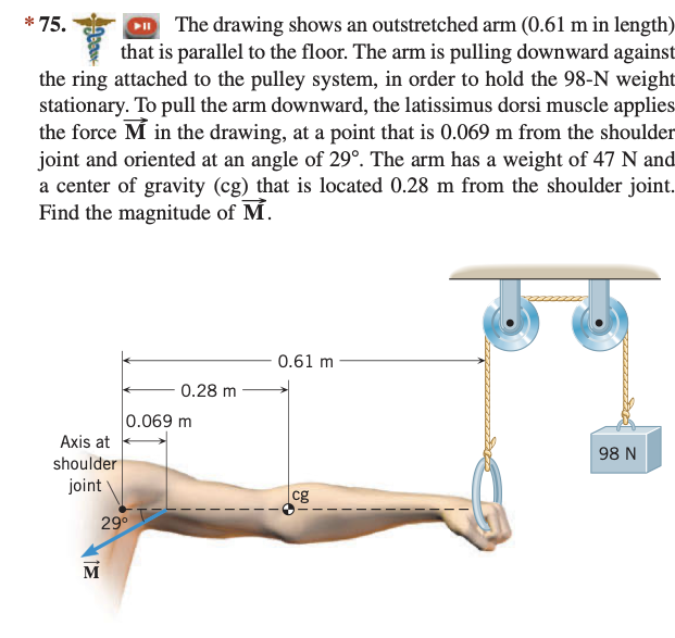 Solved *75. The drawing shows an outstretched arm (0.61 m in | Chegg.com