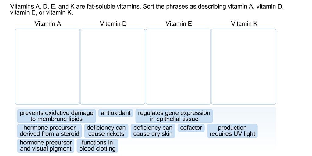 Which Of The Following Describes The Vitamins Ade And K