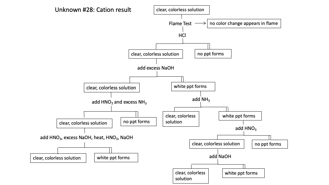 Solved Unknown #28: Cation result clear, colorless solution | Chegg.com