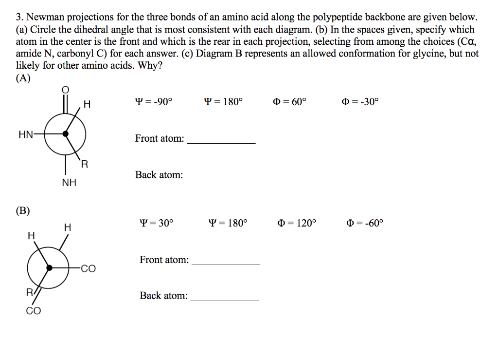 Solved 3. Newman projections for the three bonds of an amino | Chegg.com