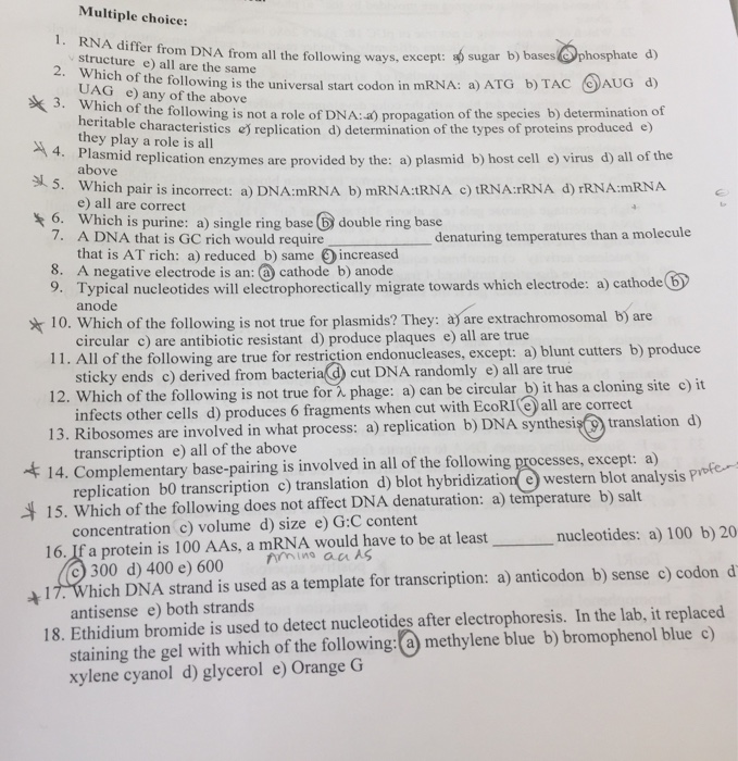 Solved Multiple choice: 1. RNA differ from DNA from all the | Chegg.com