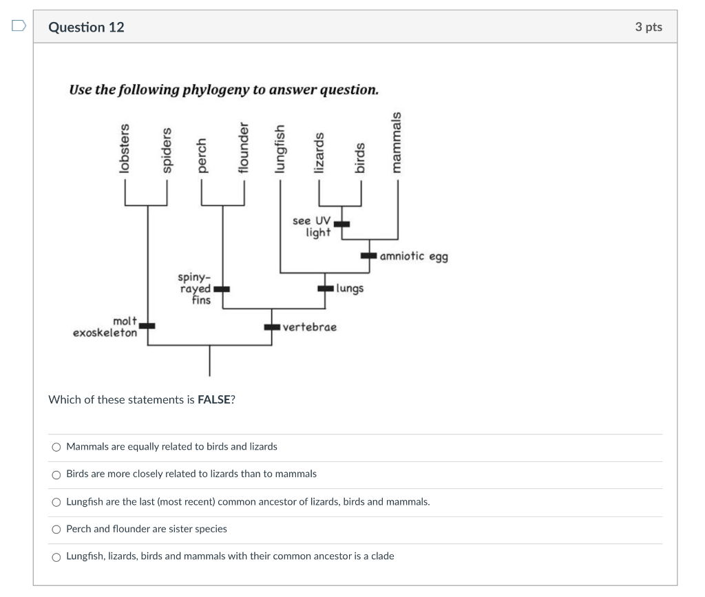 Solved Question 12 3 pts Use the following phylogeny to | Chegg.com