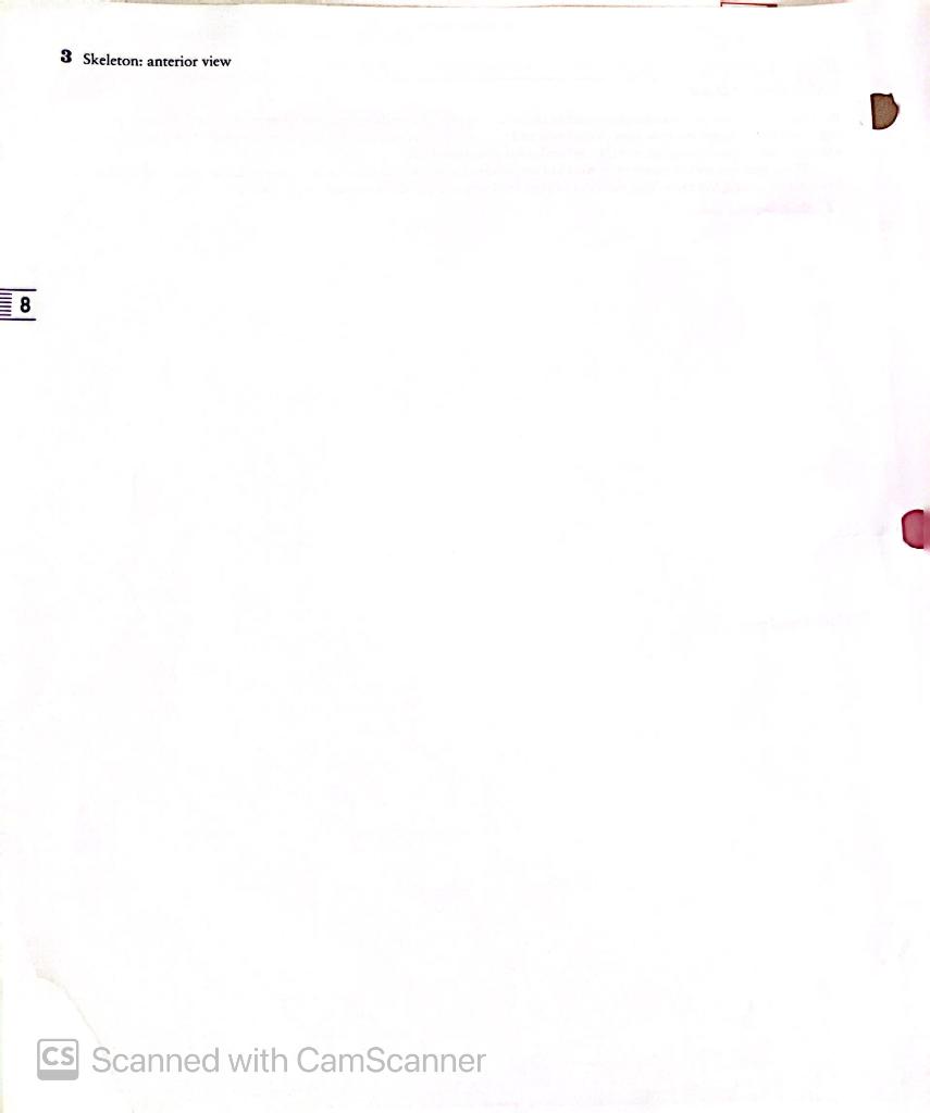 3 Skeleton: anterior view CS Scanned with CamScanner | Chegg.com