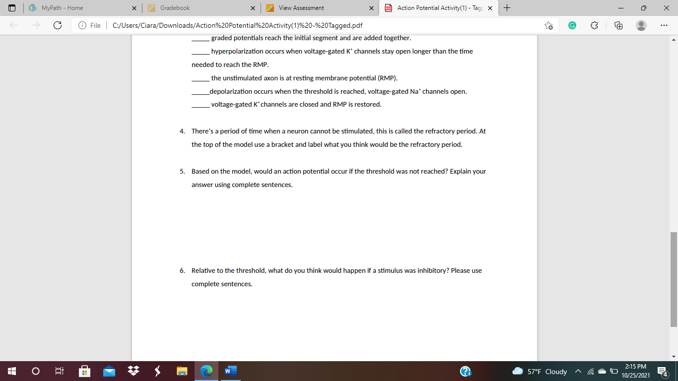 Solved MyPath - Home Gradebook View Assessment Action | Chegg.com