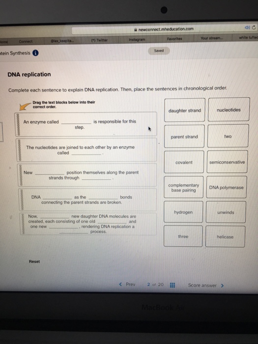 Solved d) C newconnect tein Synthesis DNA replication | Chegg.com