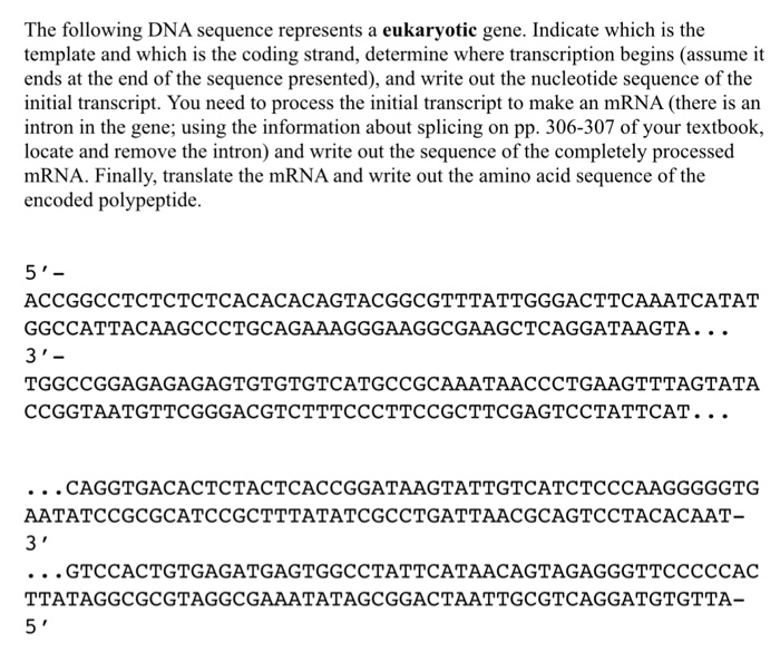 Solved The following DNA sequence represents a eukaryotic | Chegg.com
