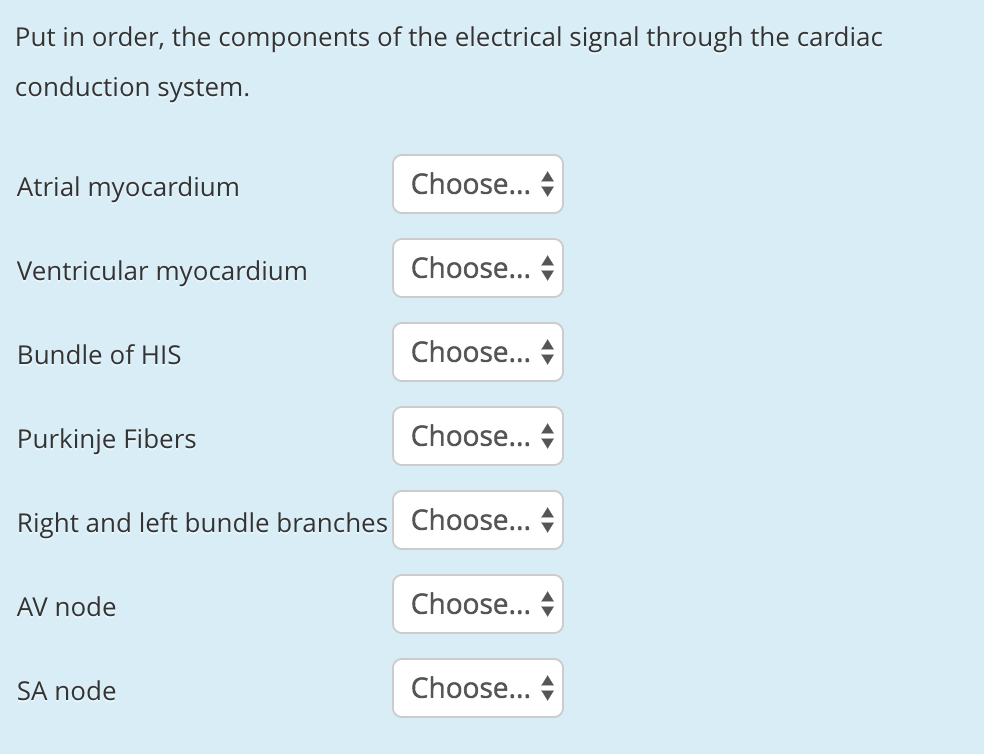 Order Of Cardiac Conduction System