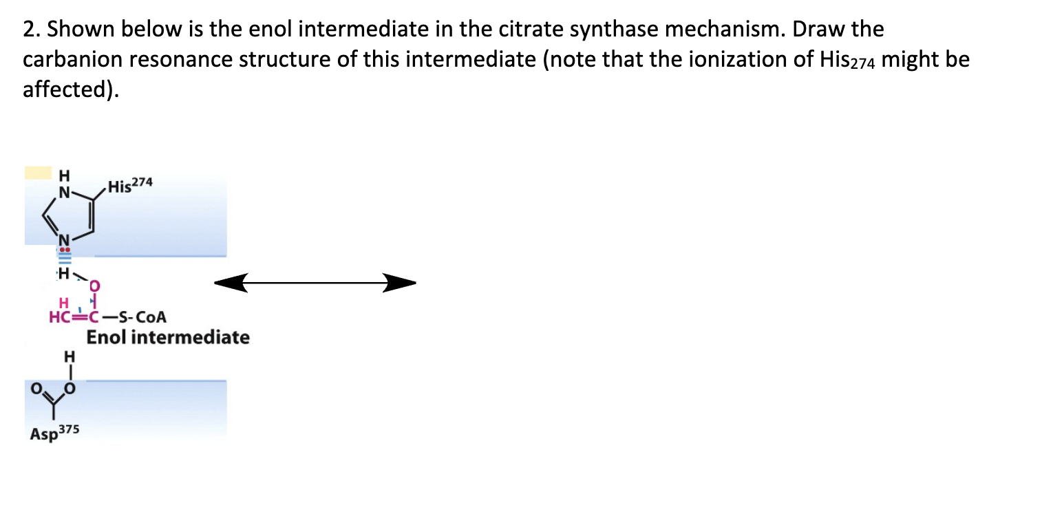 Solved Shown below is the enol intermediate in the citrate | Chegg.com