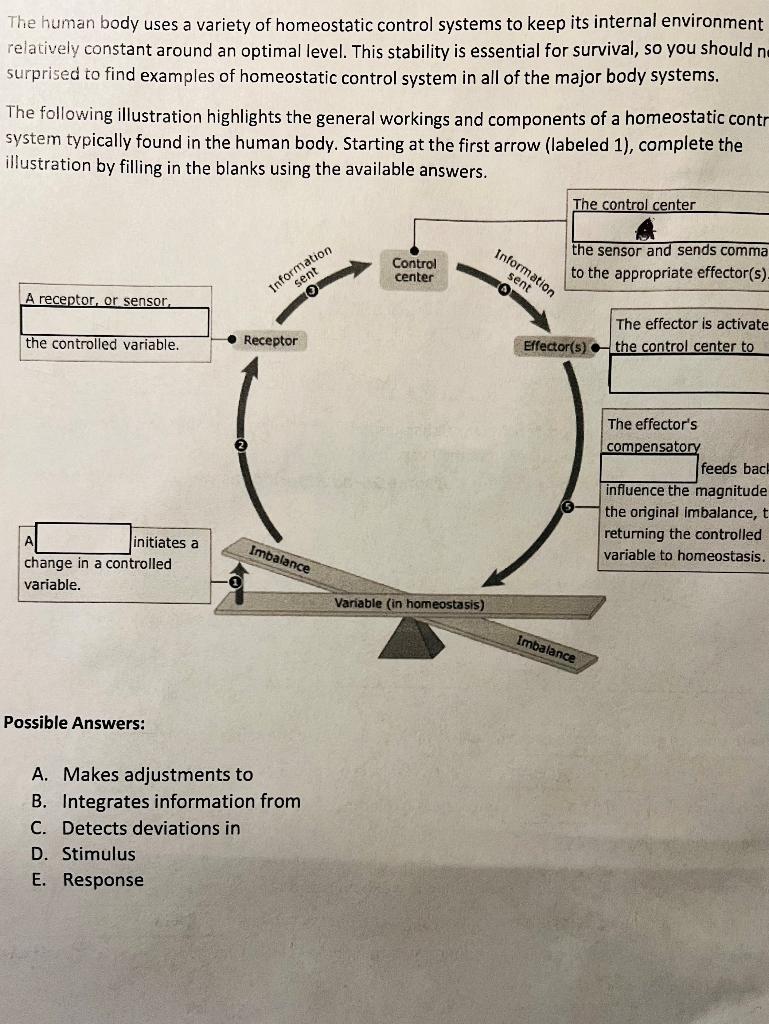 Solved The human body uses a variety of homeostatic control | Chegg.com