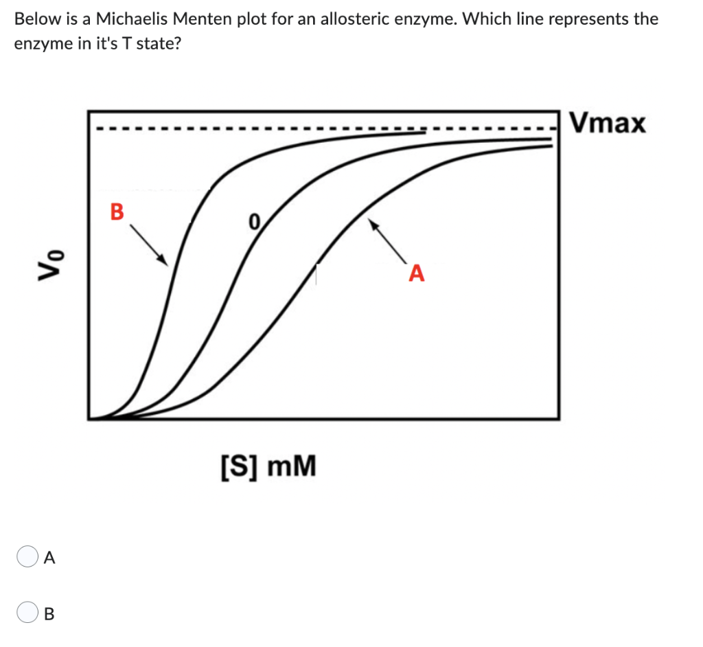 Solved Below is a Michaelis Menten plot for an allosteric | Chegg.com