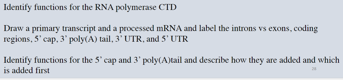 Solved Identify functions for the RNA polymerase CTD Draw a | Chegg.com