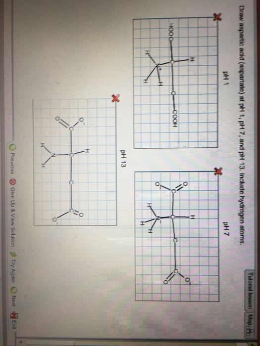 Solved Draw Aspartic Acid Aspartate At Ph 1 Ph 7 And Ph