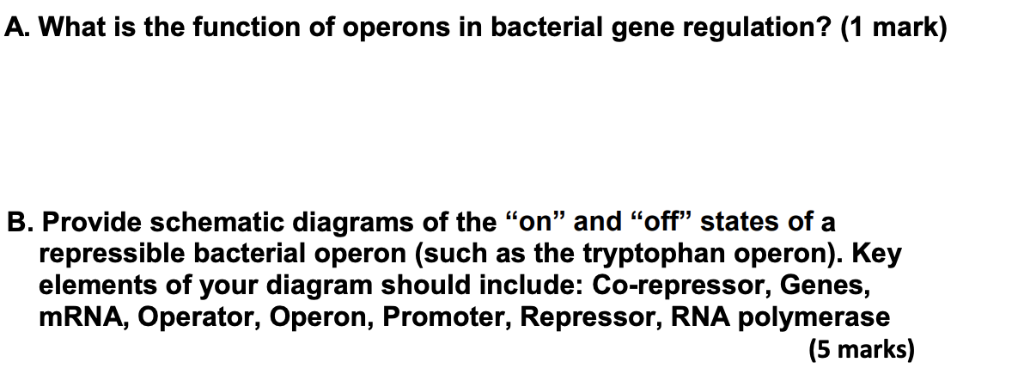 Solved A. What is the function of operons in bacterial gene | Chegg.com