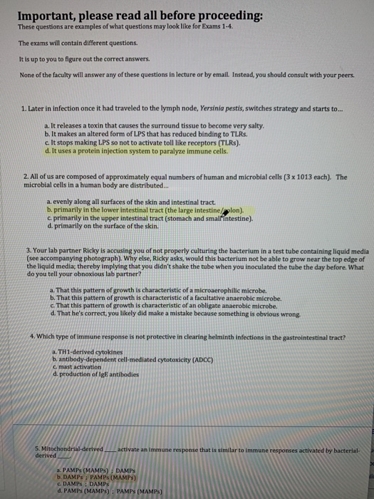 Solved Important, please read all before proceeding: These | Chegg.com