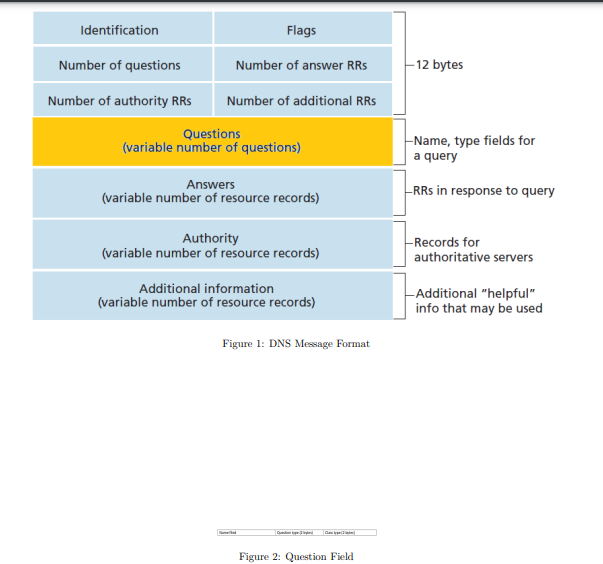 Solved Python skript/code: the DNS messages have the | Chegg.com