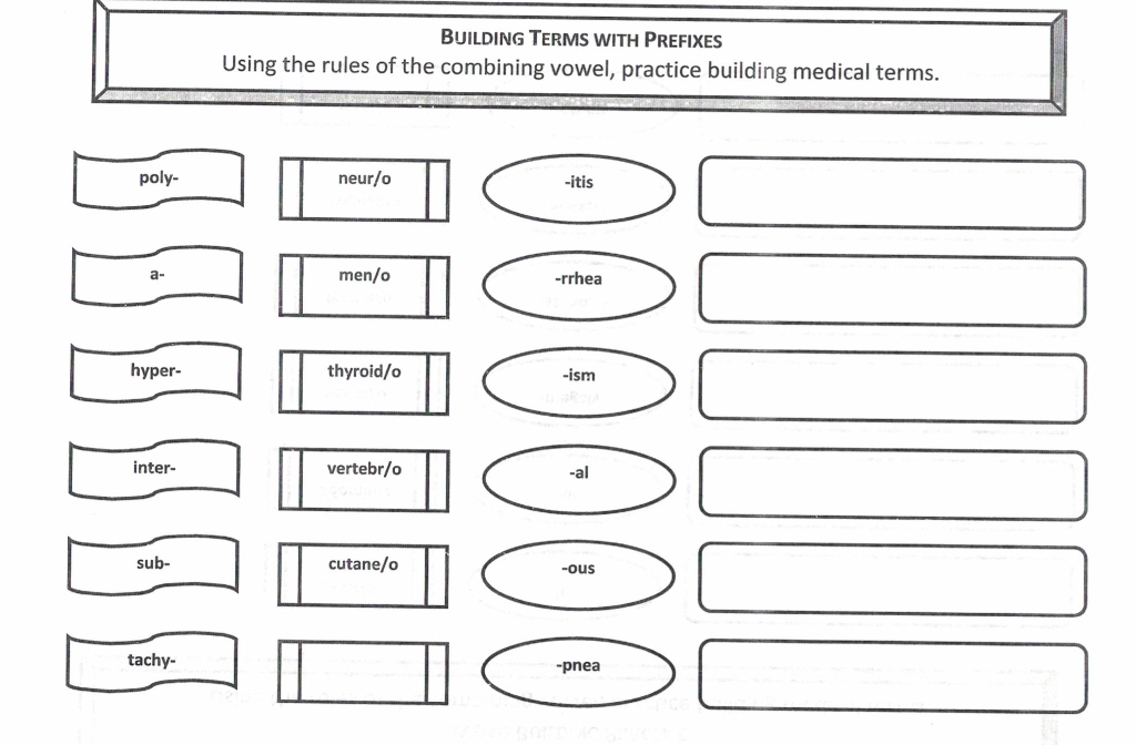 Solved WORD BUILDING PRACTICE Using the rules of the | Chegg.com