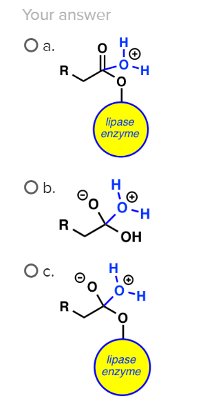 Solved What happened to the fatty acid piece and where is | Chegg.com