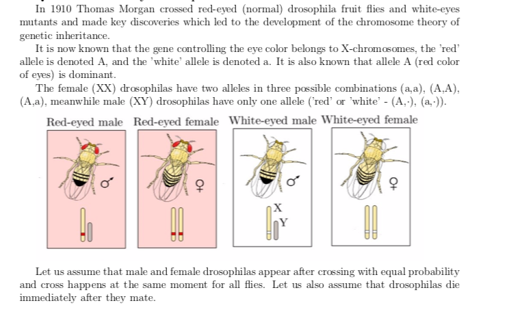 Thomas Hunt Morgan Fruit Fly Experiment