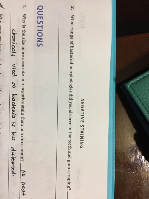 Solved: Answer Results, Sketch With Colors And Question #2... | Chegg.com