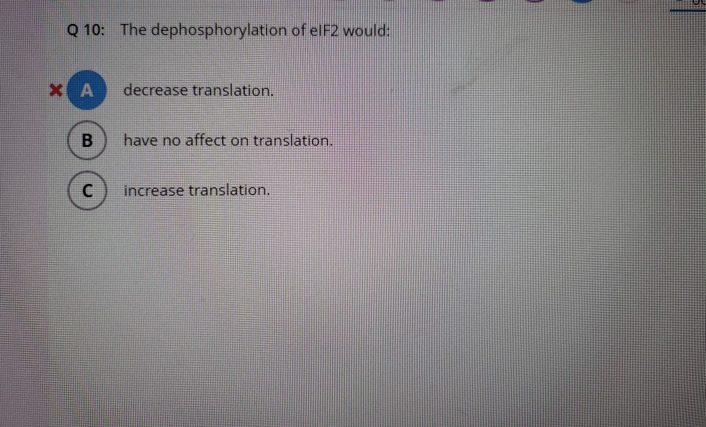 Solved Q 10: The dephosphorylation of elf2 would: decrease | Chegg.com