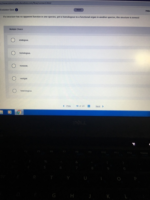 Solved structure has no apparent function in one species, | Chegg.com