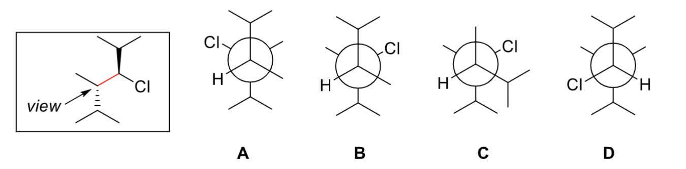 Solved Which one is the most stable newman projection for | Chegg.com