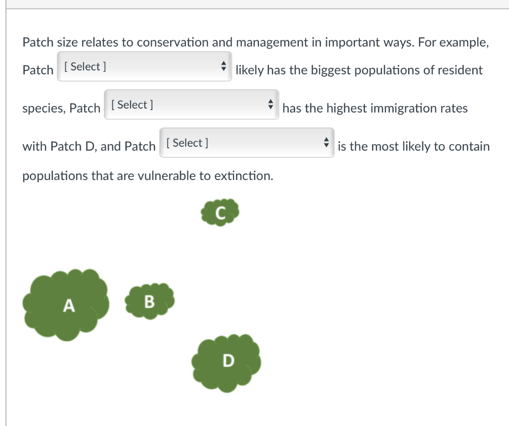 Solved Patch size relates to conservation and management in | Chegg.com