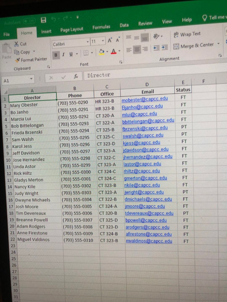 Insert Page Layout Formulas Data Review View Help | Chegg.com
