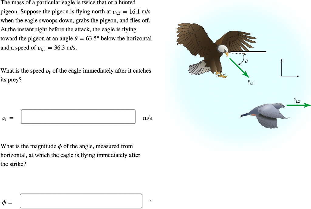Solved The mass of a particular eagle is twice that of a | Chegg.com