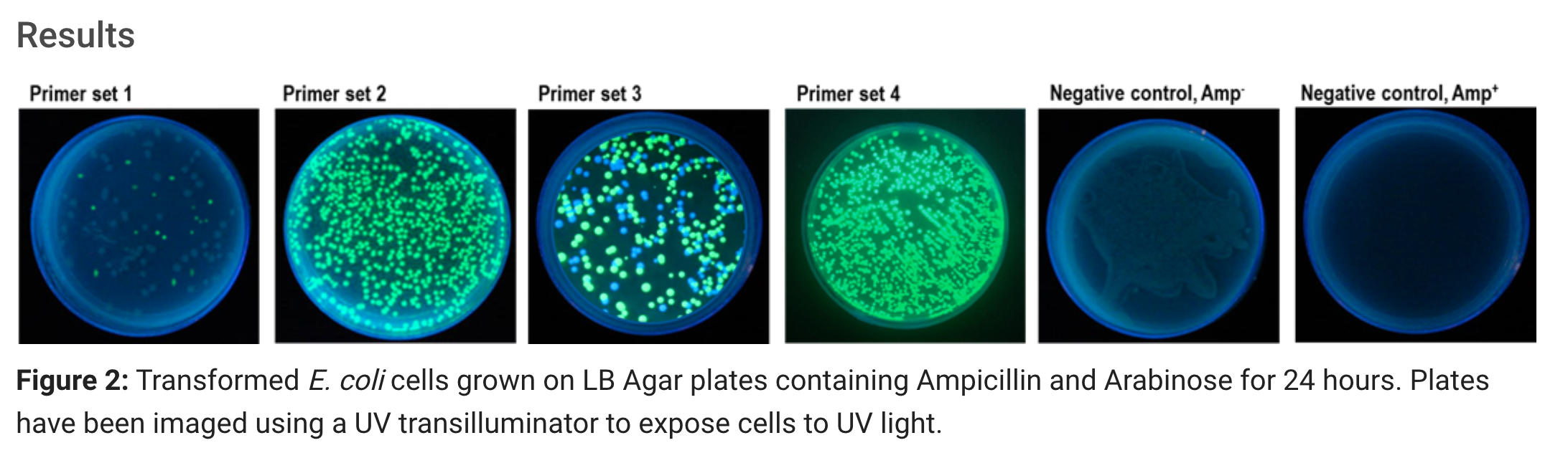 Solved Based on the results following growth of | Chegg.com