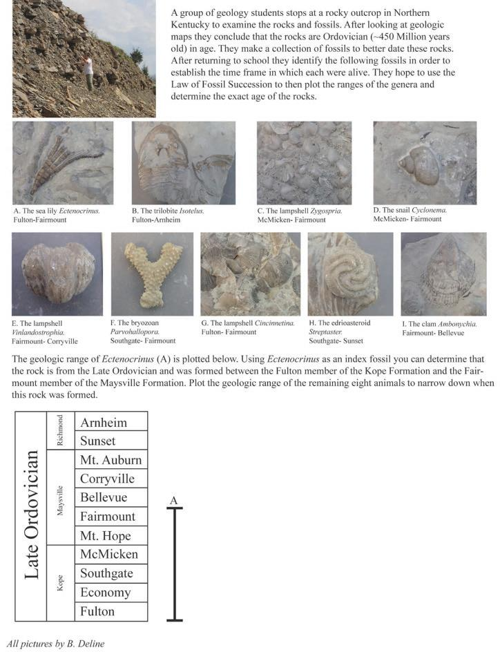 Solved 1.) Based on the assemblage of organisms (A-I) in | Chegg.com