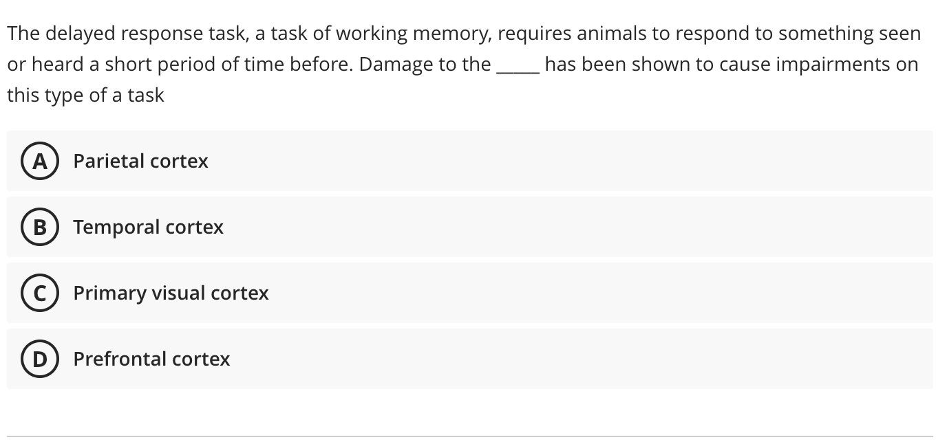 Solved The delayed response task, a task of working memory, | Chegg.com
