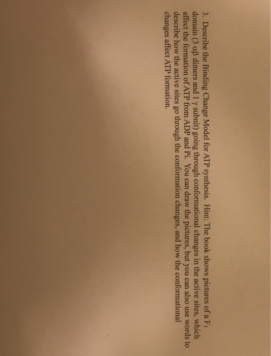 Solved Describe the Binding Change Model for ATP synthesis. | Chegg.com
