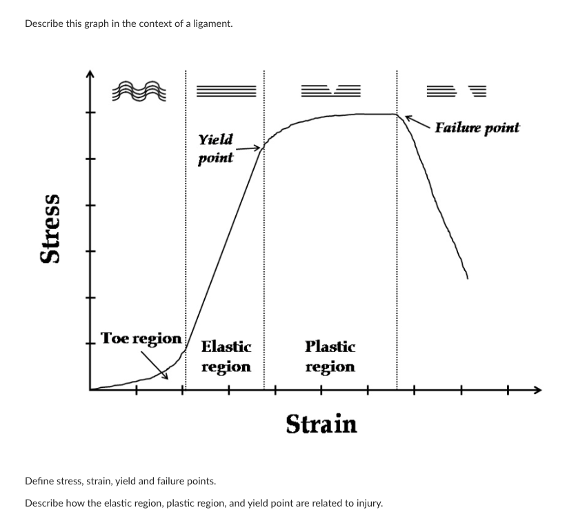Solved Describe this graph in the context of a ligament. | Chegg.com