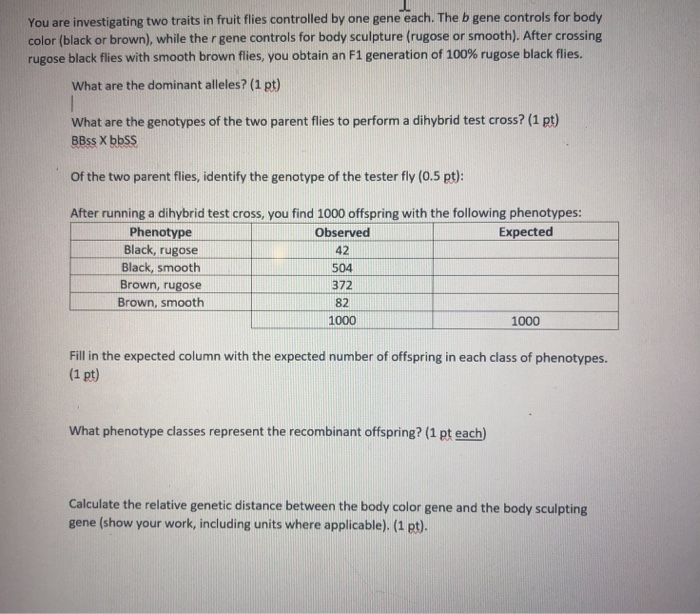 Solved You are investigating two traits in fruit flies | Chegg.com