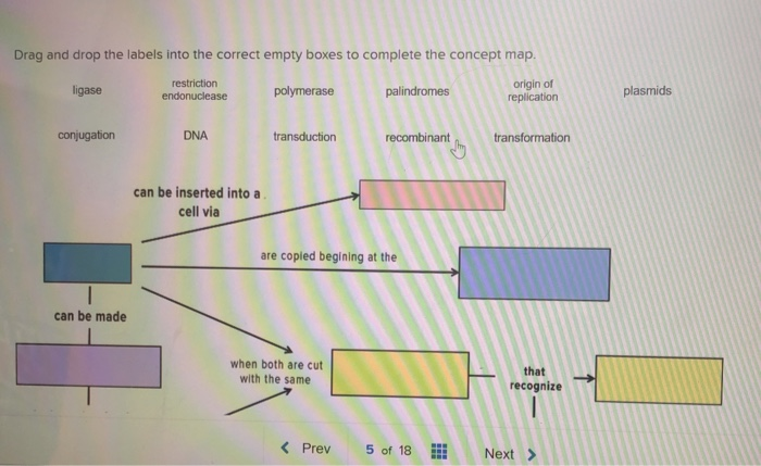 Solved Move the terms into the correct empty boxes to | Chegg.com