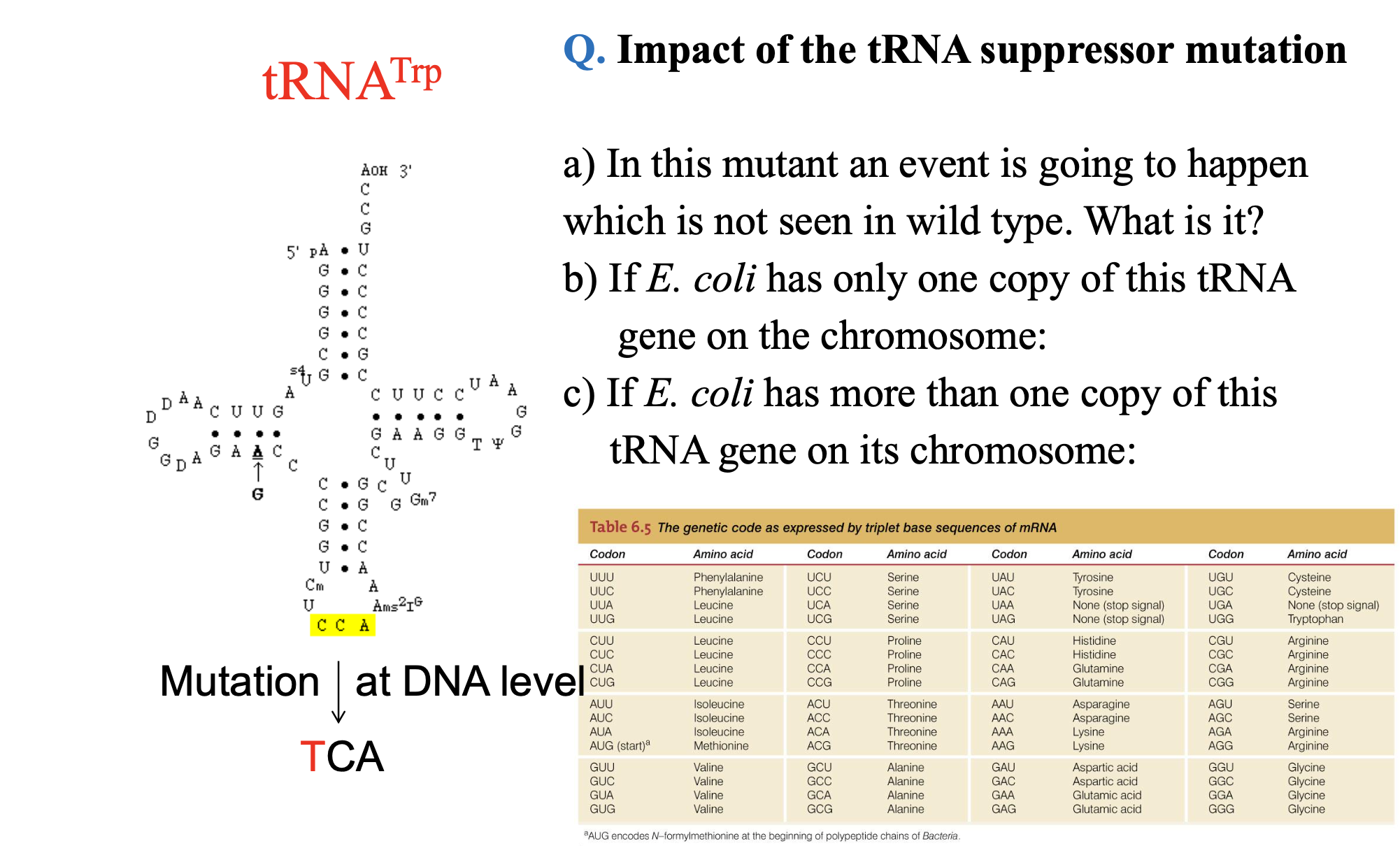 Solved Q. Impact of the tRNA suppressor mutation a) In this | Chegg.com