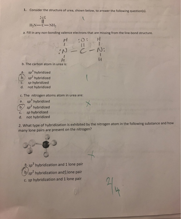 Solved 1. Consider the structure of urea, shown below, to | Chegg.com
