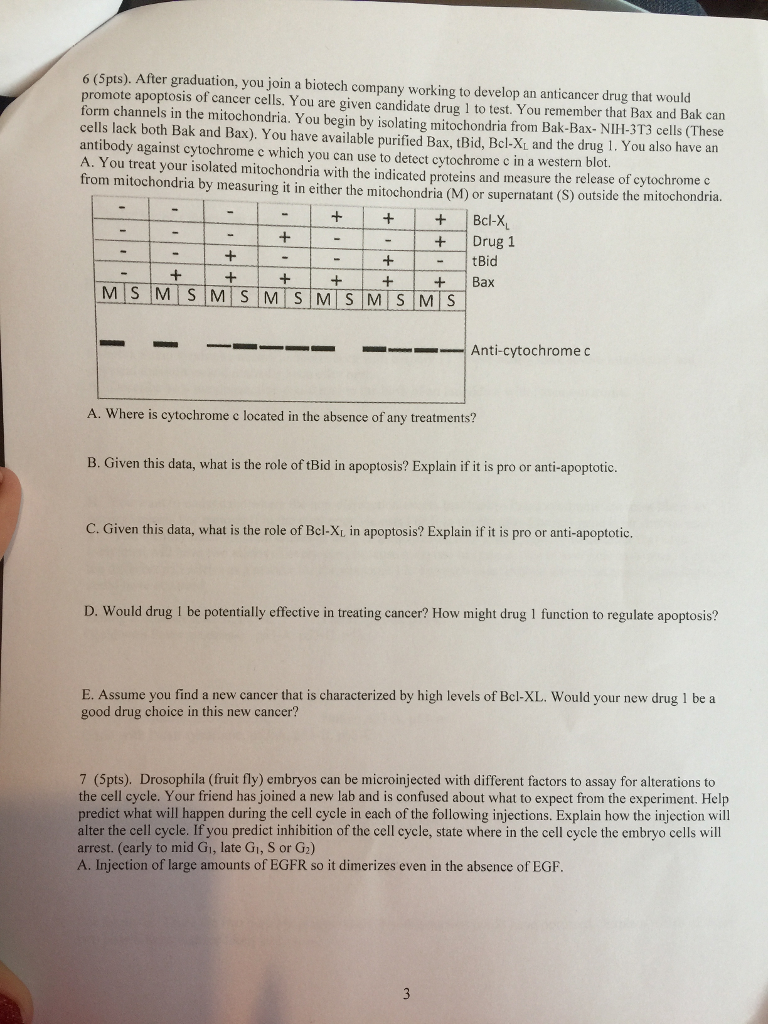 Solved help me with my cell biology homework | Chegg.com