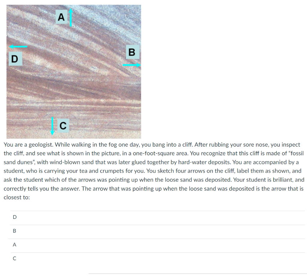 Solved You are a geologist. While walking in the fog one | Chegg.com