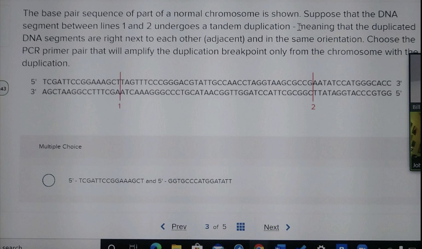Solved The base pair sequence of part of a normal chromosome | Chegg.com