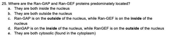 Solved 25. Where are the Ran-GAP and Ran-GEF proteins | Chegg.com