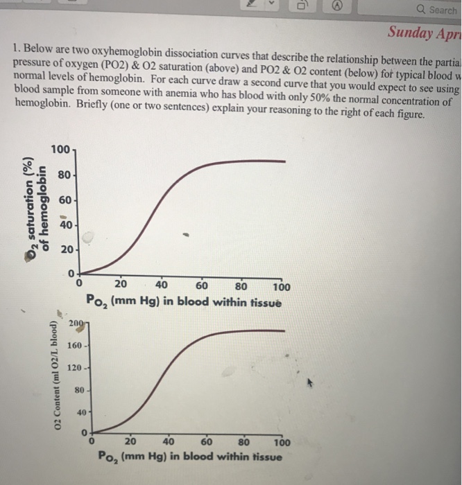 Solved Q Search Sunday Apr 1. Below are two oxyhemoglobin | Chegg.com