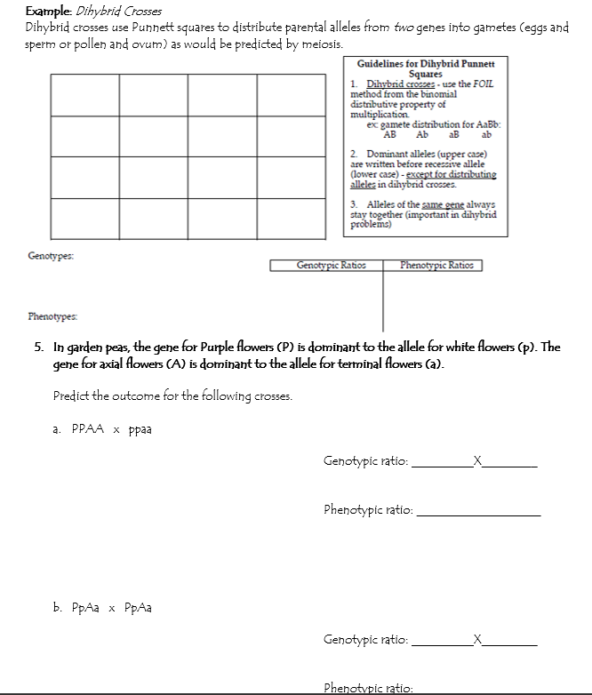 Solved Example. Dihybrid Crosses Dihybrid crosses use | Chegg.com